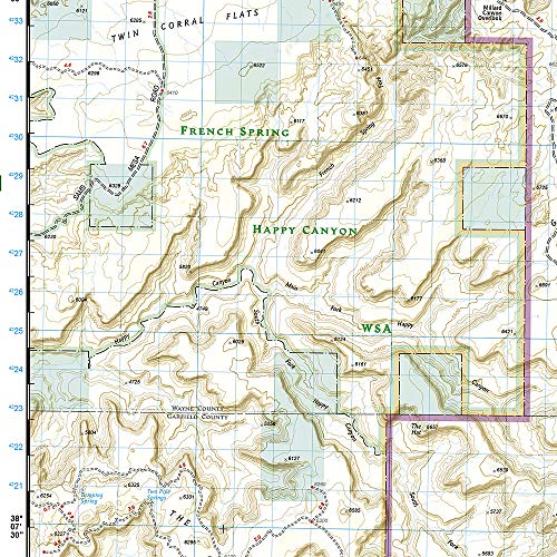 Canyonlands National Park (National Geographic Trails Illustrated Map) (National Geographic Trails Illustrated Map, 210)