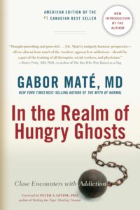 in the realm of hungry ghosts: close encounters with addiction