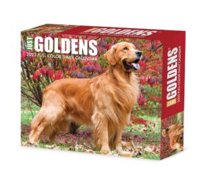 goldens 2023 box calendar