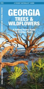 georgia trees & wildflowers: a folding pocket guide to familiar plants (nature observation north america)