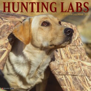 hunting labs 2023 wall calendar