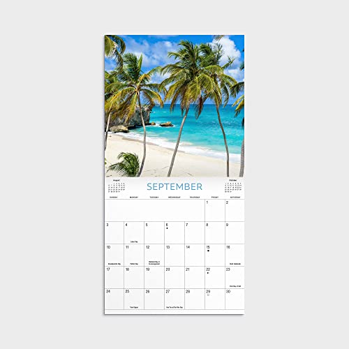 Beaches Palm Trees 2023 Mini Wall Calendar