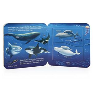 Peek-a-Flap Ocean Children's Lift-a-Flap Board Book for Children Learning about the Sea and Water Animals, Ages 2-5