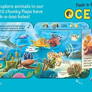 Peek-a-Flap Ocean Children's Lift-a-Flap Board Book for Children Learning about the Sea and Water Animals, Ages 2-5