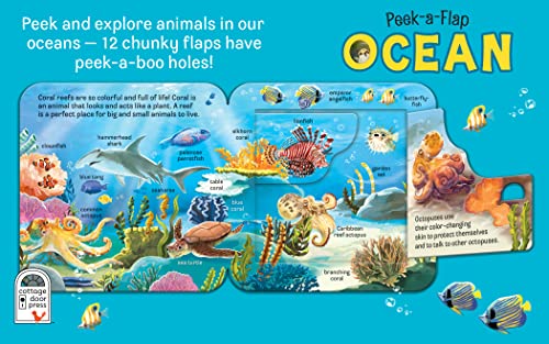 Peek-a-Flap Ocean Children's Lift-a-Flap Board Book for Children Learning about the Sea and Water Animals, Ages 2-5