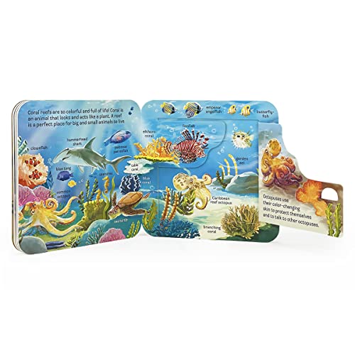 Peek-a-Flap Ocean Children's Lift-a-Flap Board Book for Children Learning about the Sea and Water Animals, Ages 2-5