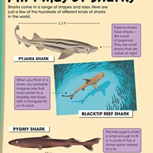 Shark Facts & Activity Book For Kids 5-9: Activities and Information on Hammerhead, Tiger, Great White, Whale Sharks and more with Coloring, Mazes, Experiments (Gold Stars Series)