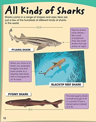 Shark Facts & Activity Book For Kids 5-9: Activities and Information on Hammerhead, Tiger, Great White, Whale Sharks and more with Coloring, Mazes, Experiments (Gold Stars Series)