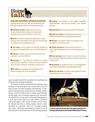 The Original Horse Bible, 2nd Edition: The Definitive Source for All Things Horse (CompanionHouse Books) 210 Breed Profiles, Training Tips, Riding Insights, Competitive Activities, Grooming and Health