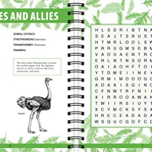 Brain Games - Birds Word Search Puzzles