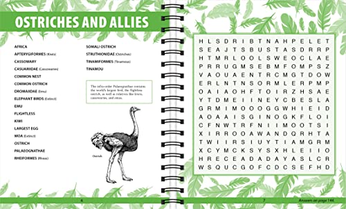 Brain Games - Birds Word Search Puzzles