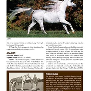 The Original Horse Bible, 2nd Edition: The Definitive Source for All Things Horse (CompanionHouse Books) 210 Breed Profiles, Training Tips, Riding Insights, Competitive Activities, Grooming and Health