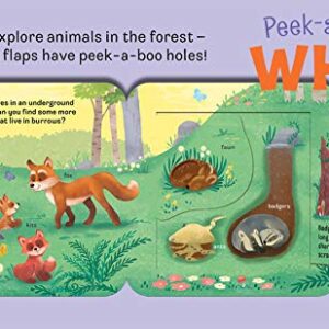 Who: Peek-a-Flap Board Book