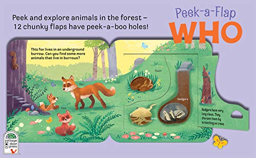 Who: Peek-a-Flap Board Book