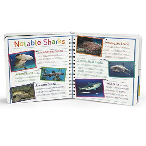 Sharks (Smithsonian Kids First Discovery Books)