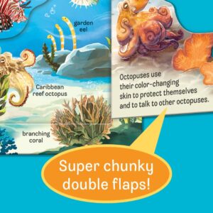 Peek-a-Flap Ocean Children's Lift-a-Flap Board Book for Children Learning about the Sea and Water Animals, Ages 2-5