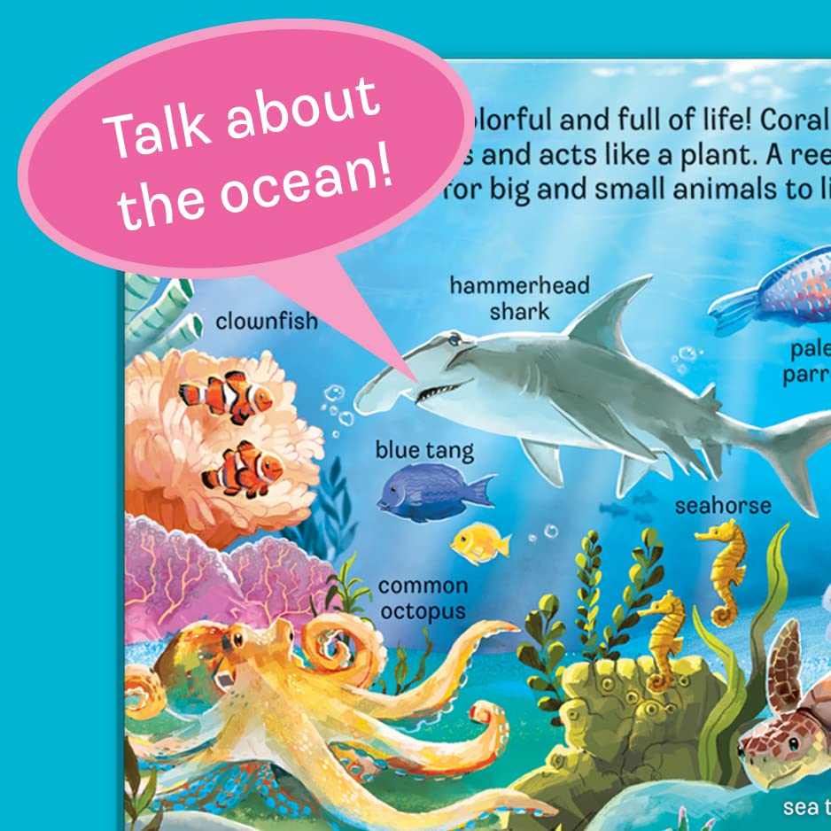 Peek-a-Flap Ocean Children's Lift-a-Flap Board Book for Children Learning about the Sea and Water Animals, Ages 2-5