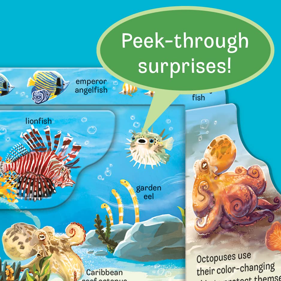 Peek-a-Flap Ocean Children's Lift-a-Flap Board Book for Children Learning about the Sea and Water Animals, Ages 2-5