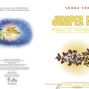 Juniper Mae: Knight of Tykotech City (Juniper Mae: Knight of Tykotech City, 1)