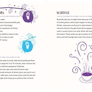 The Science Spell Book: 30 Enchanting Experiments for Kids