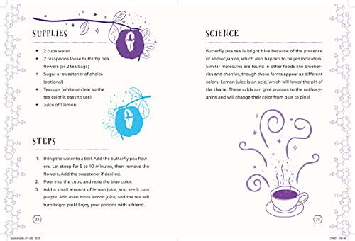 The Science Spell Book: 30 Enchanting Experiments for Kids