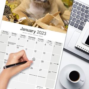 American Staffordshire Terrier Calendar - Dog Breed Calendars - 2022 - 2023 wall calendars - 16 Month by Avonside