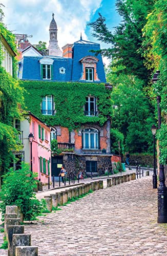 Lonely Planet Paris (Travel Guide)