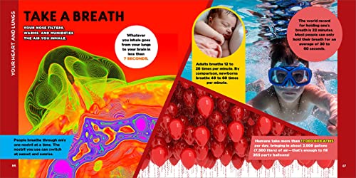 The Fascinating Human Body Book for Kids: 500 Phenomenal Facts! (Fascinating Facts)