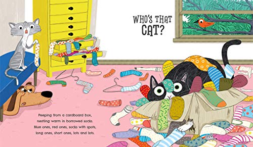 Who's that Cat?-Giggle Together as you Follow Along with this Quirky Cat and her Silly Habits