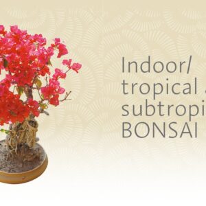 The Bonsai Beginner's Bible