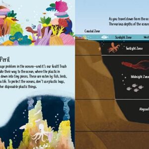 What a Submarine Sees: A fold-out journey under the waves