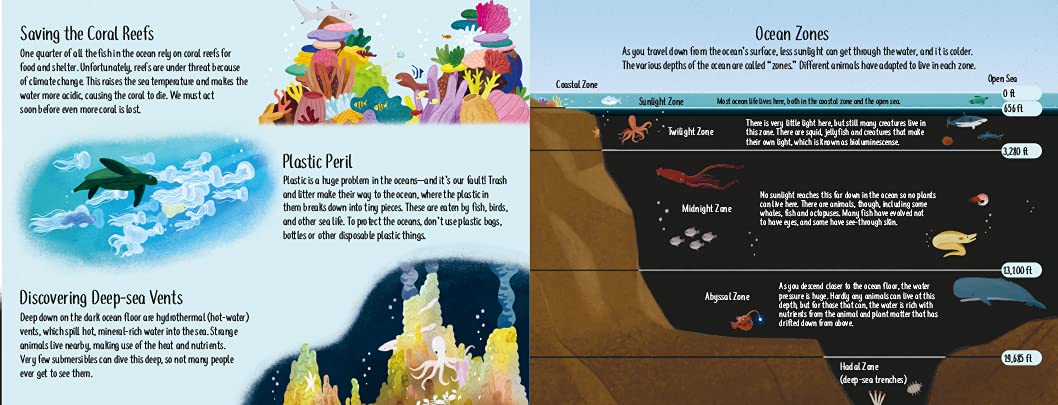 What a Submarine Sees: A fold-out journey under the waves