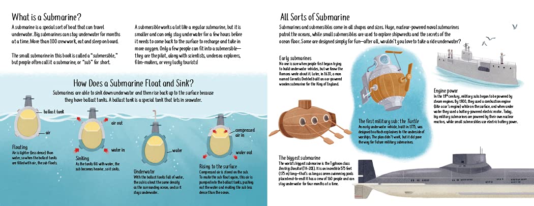 What a Submarine Sees: A fold-out journey under the waves