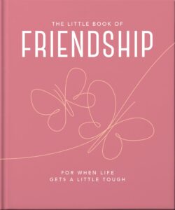 the little book of friendship: for when life gets a little tough (little books of wellbeing)