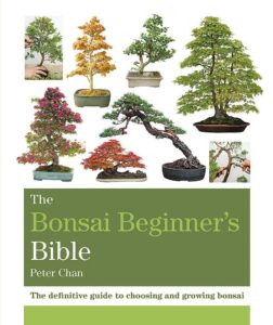 the bonsai beginner's bible