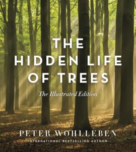 the hidden life of trees: the illustrated edition (david suzuki institute)