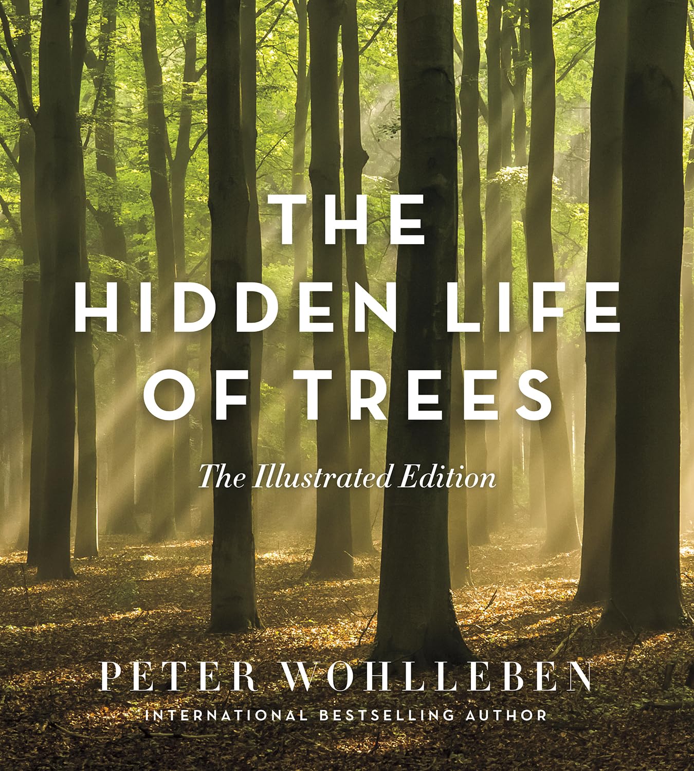 The Hidden Life of Trees: The Illustrated Edition (David Suzuki Institute)