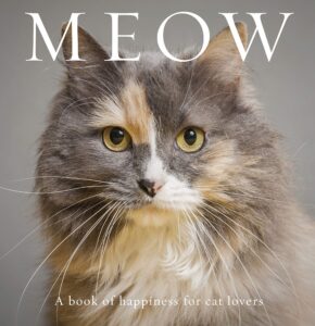 meow: a book of happiness for cat lovers (animal happiness)