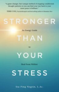 stronger than your stress: an energy guide to heal from within©