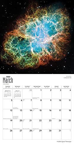 Hubble Space Telescope | 2023 12 x 24 Inch Monthly Square Wall Calendar | Foil Stamped Cover | BrownTrout | Science Astronomy Technology