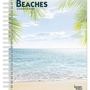 Beaches | 2023 6 x 7.75 Inch Spiral-Bound Wire-O Weekly Engagement Planner Calendar | New Full-Color Image Every Week | BrownTrout | Travel Nature Tropical