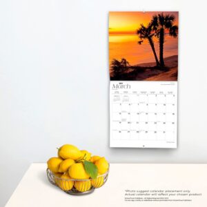 Carolina Coast | 2023 12 x 24 Inch Monthly Square Wall Calendar | Foil Stamped Cover | BrownTrout | USA United States of America Southeast State Nature