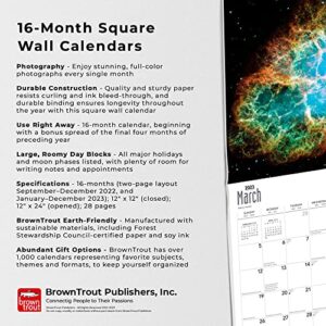 Hubble Space Telescope | 2023 12 x 24 Inch Monthly Square Wall Calendar | Foil Stamped Cover | BrownTrout | Science Astronomy Technology