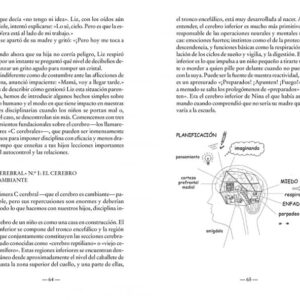 Disciplina sin lágrimas / No-Drama Discipline (Spanish Edition)