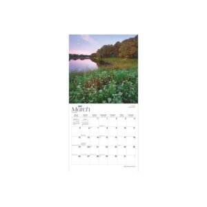 Florida Wild & Scenic | 2023 12 x 24 Inch Monthly Square Wall Calendar | Foil Stamped Cover | BrownTrout | USA United States of America Southeast State Nature