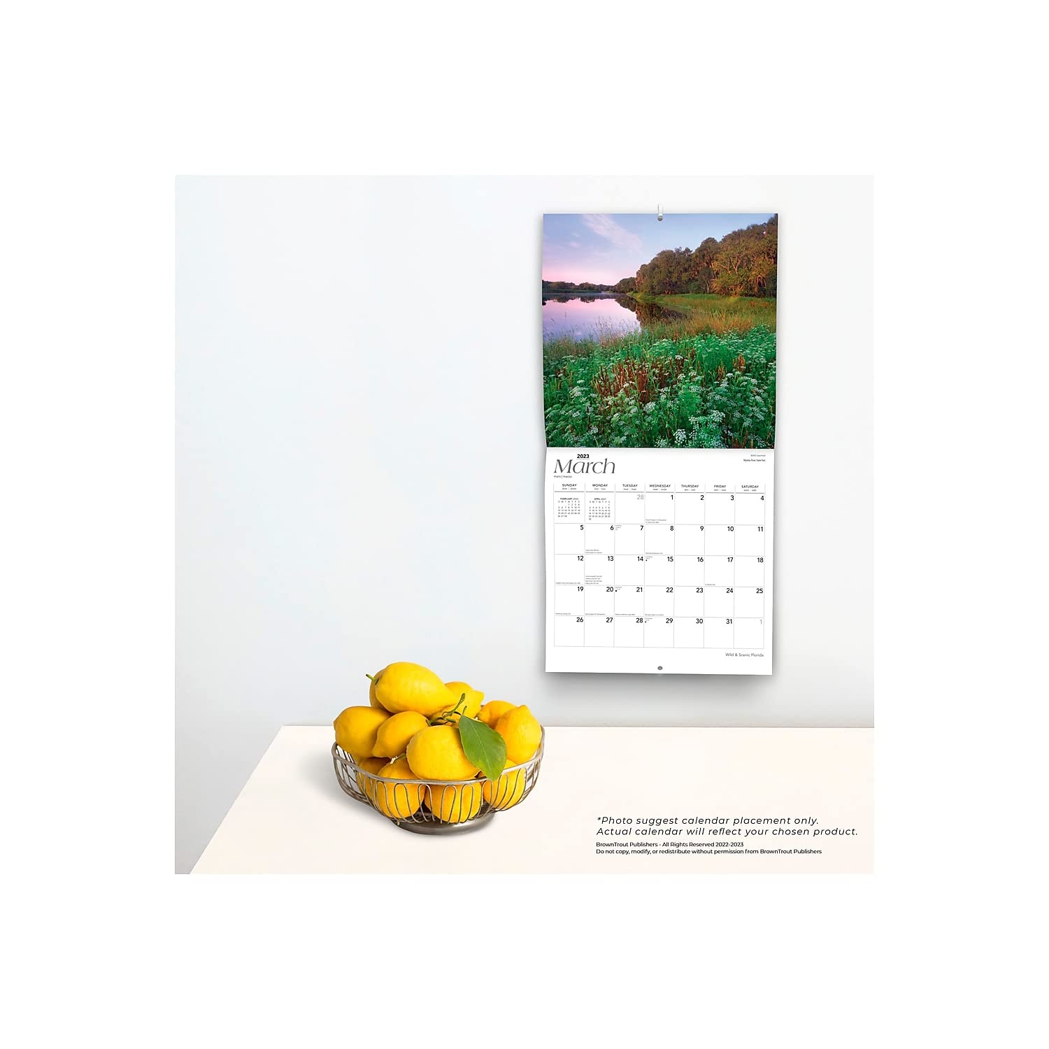 Florida Wild & Scenic | 2023 12 x 24 Inch Monthly Square Wall Calendar | Foil Stamped Cover | BrownTrout | USA United States of America Southeast State Nature