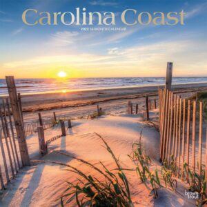 carolina coast | 2023 12 x 24 inch monthly square wall calendar | foil stamped cover | browntrout | usa united states of america southeast state nature