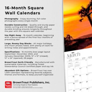 Carolina Coast | 2023 12 x 24 Inch Monthly Square Wall Calendar | Foil Stamped Cover | BrownTrout | USA United States of America Southeast State Nature