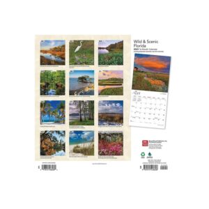 Florida Wild & Scenic | 2023 12 x 24 Inch Monthly Square Wall Calendar | Foil Stamped Cover | BrownTrout | USA United States of America Southeast State Nature