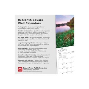 Florida Wild & Scenic | 2023 12 x 24 Inch Monthly Square Wall Calendar | Foil Stamped Cover | BrownTrout | USA United States of America Southeast State Nature